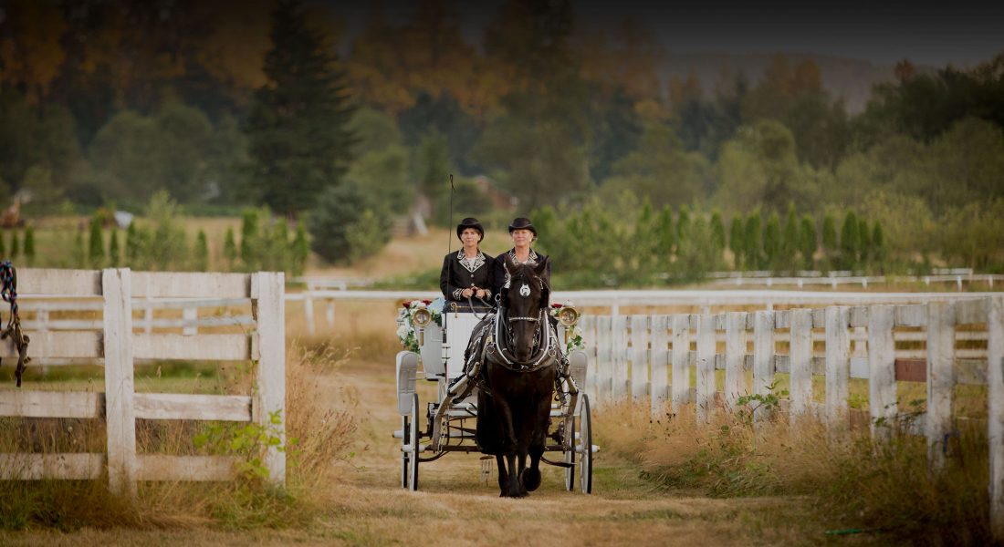 Add-On Packages - Rein Fire Ranch