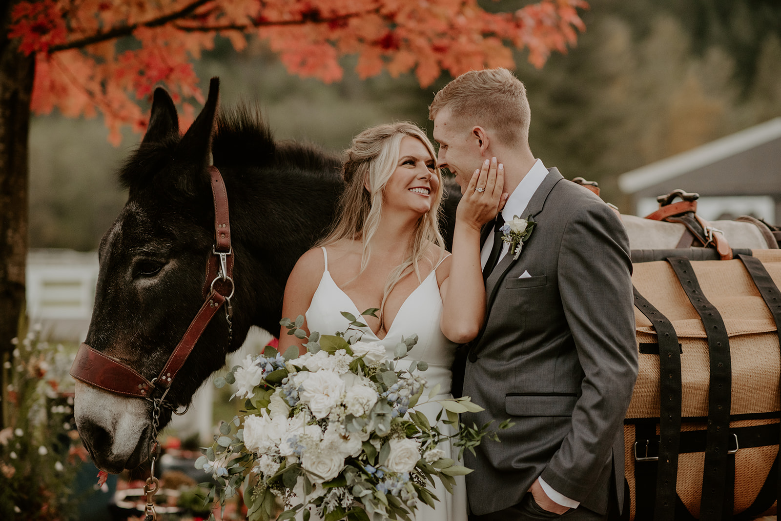 Wedding Rates - Rein Fire Ranch